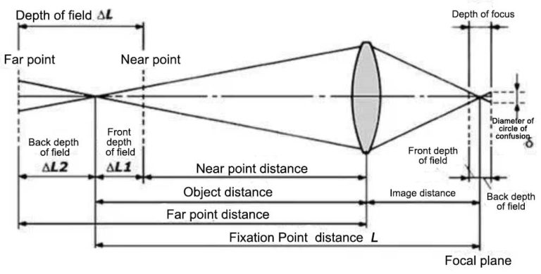 Seeing Clearly: How Focal Length Impacts the Efficiency of Your Photography